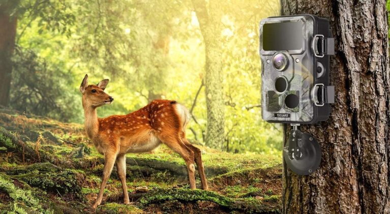 12 Best Selling Wildlife Trail Cameras - Widest